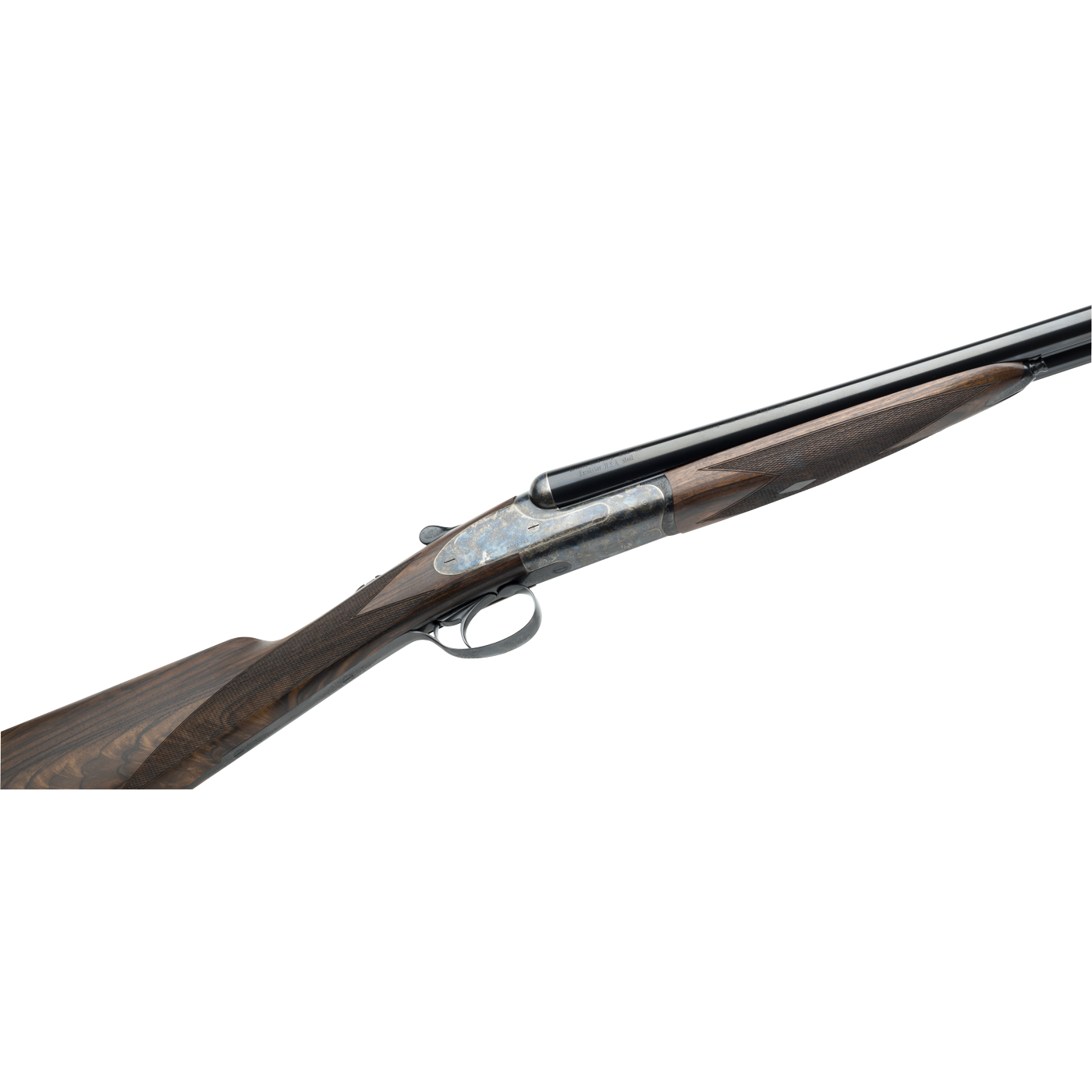 486 Parallelo EL Tartarugato