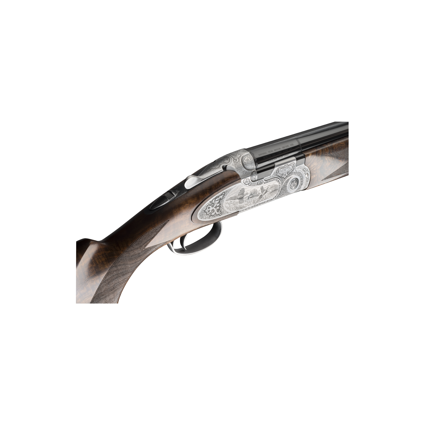 687 EELL Diamond Pigeon