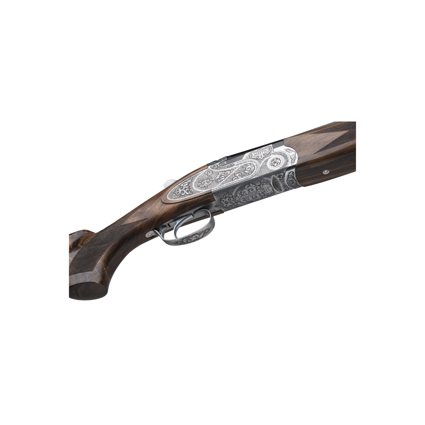 687 EELL Diamond Pigeon