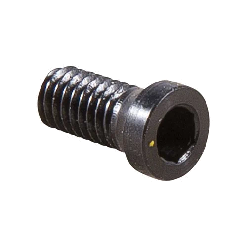 Beretta (145) Single Screw M4x10 Head 60 UGB25 | Beretta