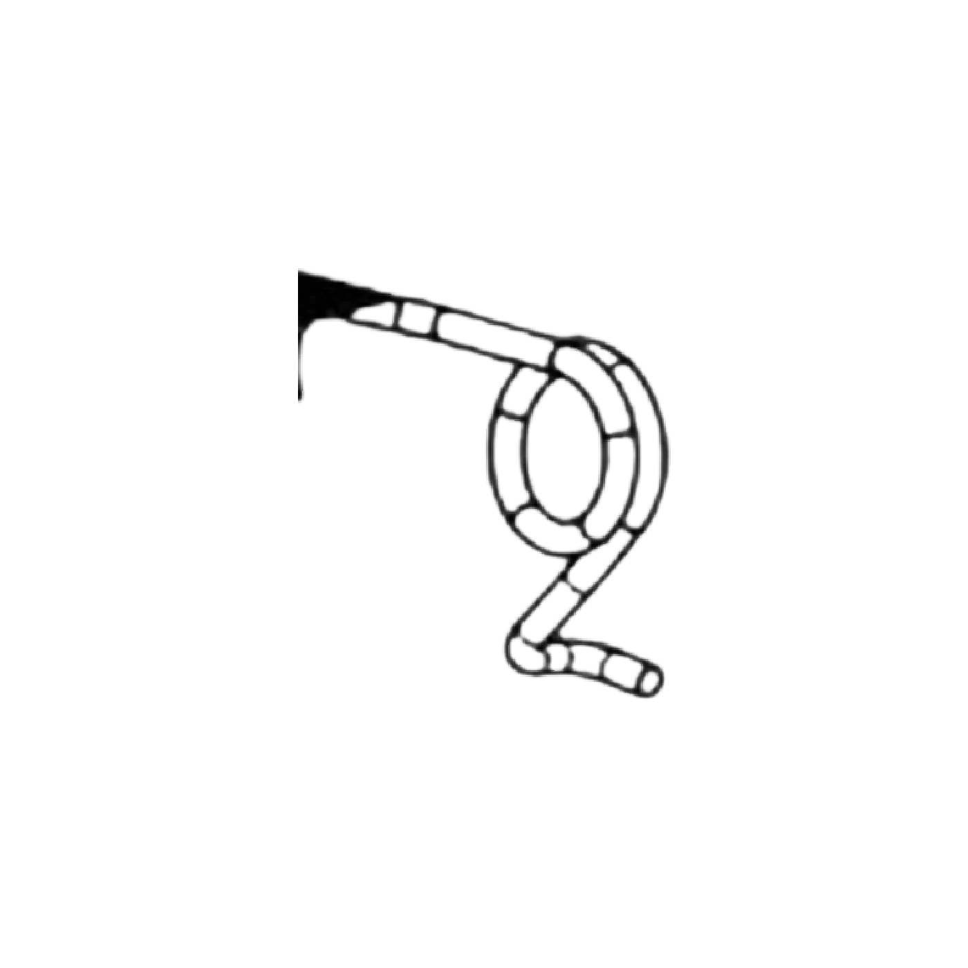 Muelle de palanca de parada para Pico | Beretta