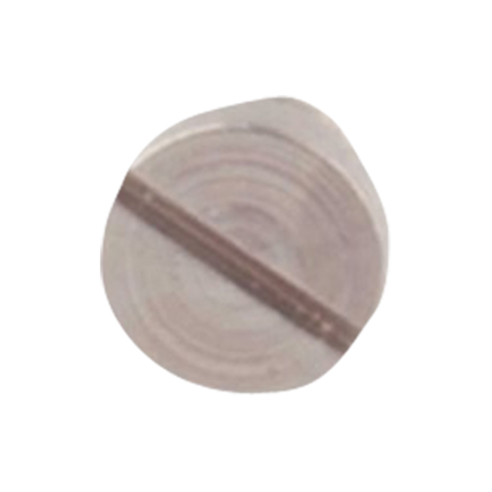 Beretta Trigger Plate Screw Silver Pigeon/S686